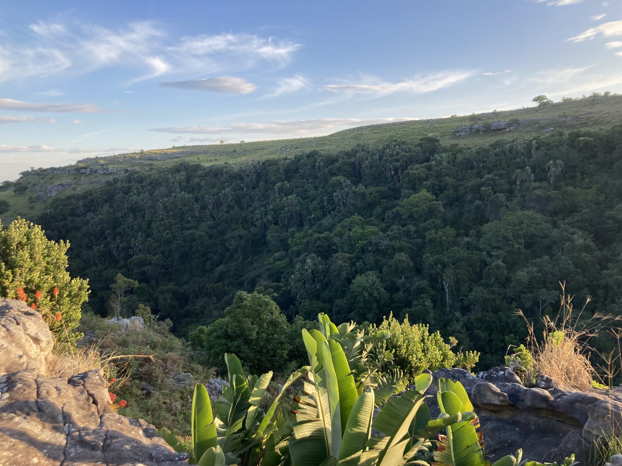 Photo story: Xolobeni - A Commoning Success Story - Future Natures